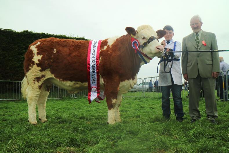 Midleton show back up and running - Premium