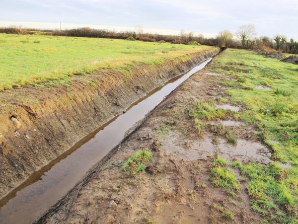 BETTER Farm: Successful land drainage in Kerry allows early turnout 18 ...