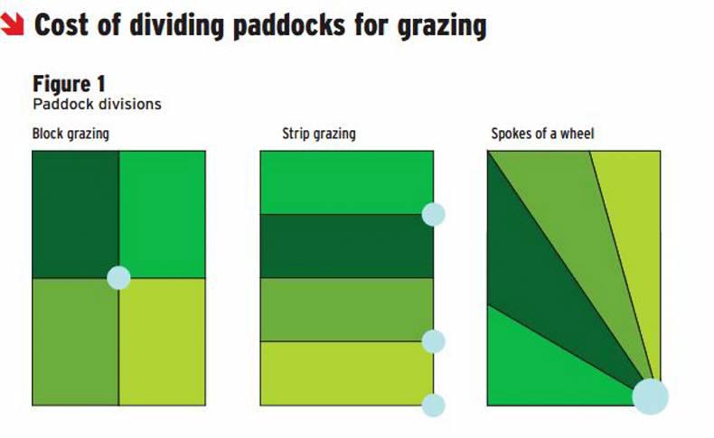 Setting up a paddock grazing system 27 May 2016 Free