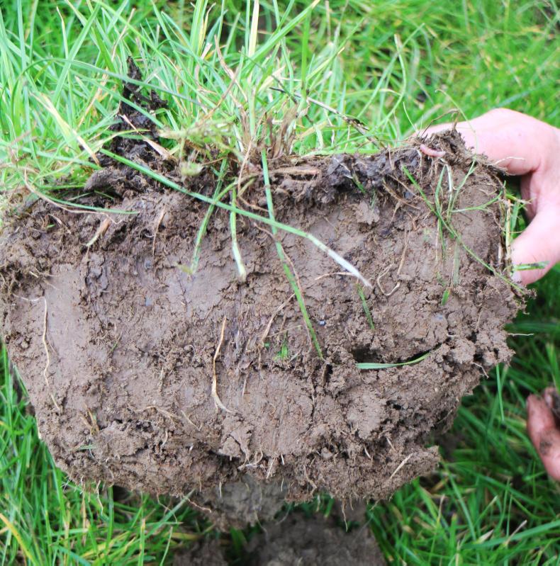 Big soil shake-up for BETTER farm participant - Premium