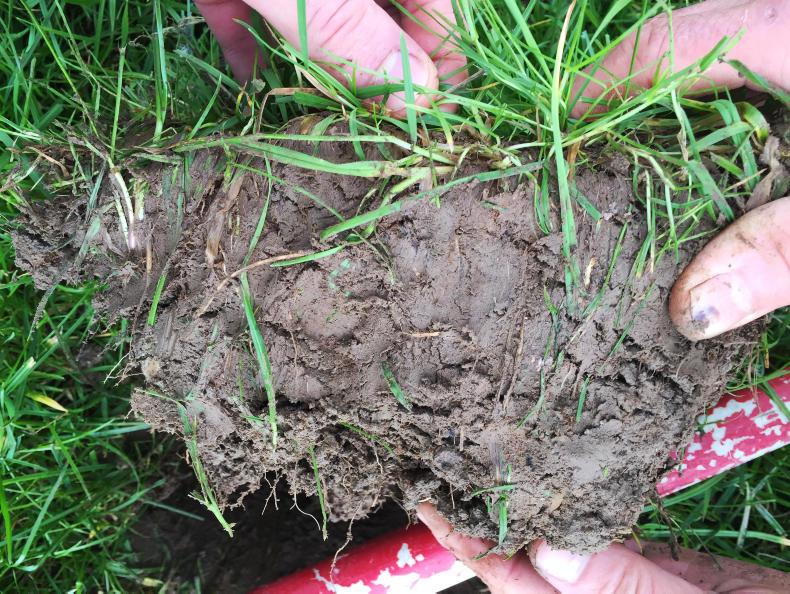 Big soil shake-up for BETTER farm participant - Premium