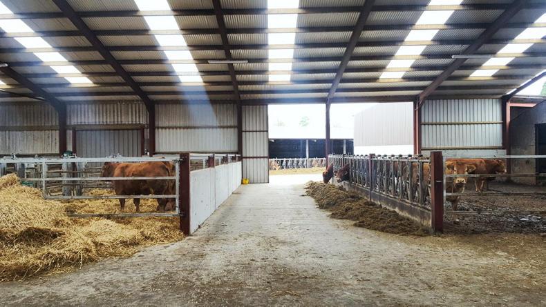 Beef Cattle Housing