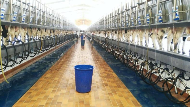 In pictures: inside Almarai's dairy farm in the Saudi desert 28 ...