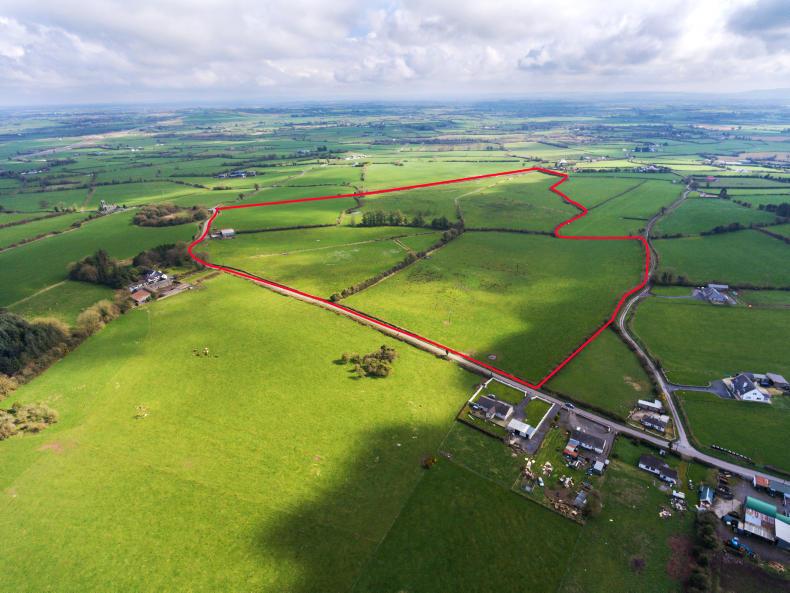 €1.2m guide for 139-acre Co Laois farm - Free