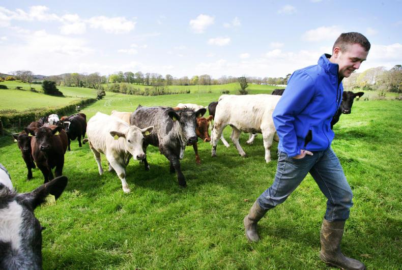 Pictured is Finbarr Hamill, a farmer in the Northern Ireland Better ...