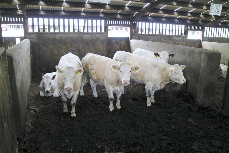 Irish Farmers Journal – For the Latest Farming News in Ireland