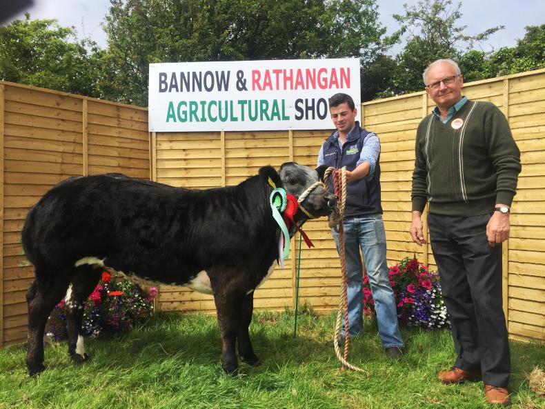 In pictures: sun shines on Bannow and Rathangan Show - Free