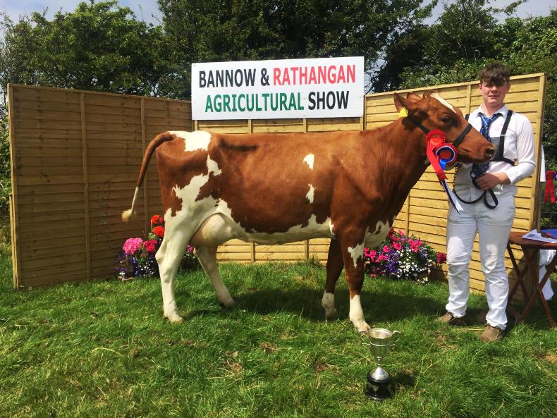 In pictures: sun shines on Bannow and Rathangan Show - Free