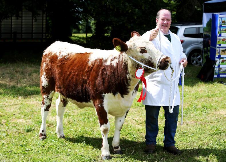 In pictures: the Mount Briscoe show - Free