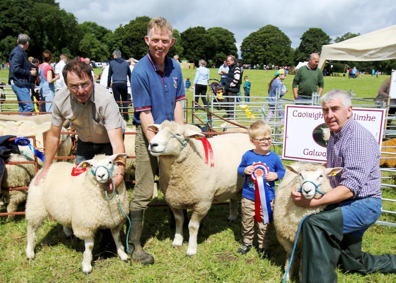 In pictures: the Mount Briscoe show - Free