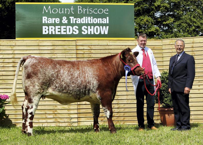 In pictures: the Mount Briscoe show - Free