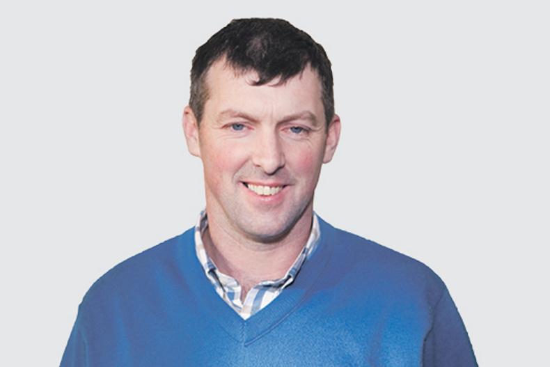 Grass+ dairy: good late summer growth rates continue - Premium