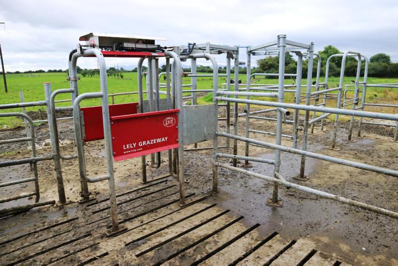 Elevated crush makes life easier with robotic parlour - Premium