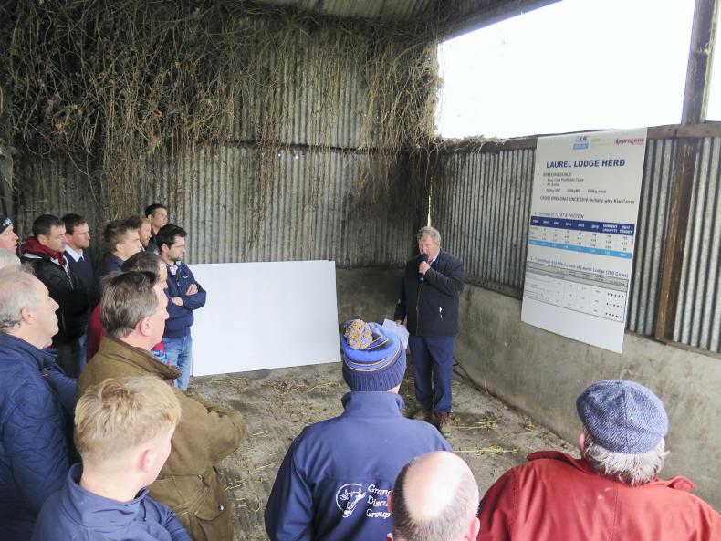 Caution urged on increasing stocking rates - Premium