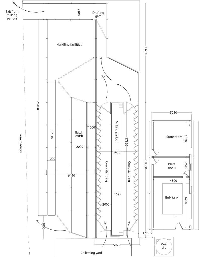 Milking Parlour Design