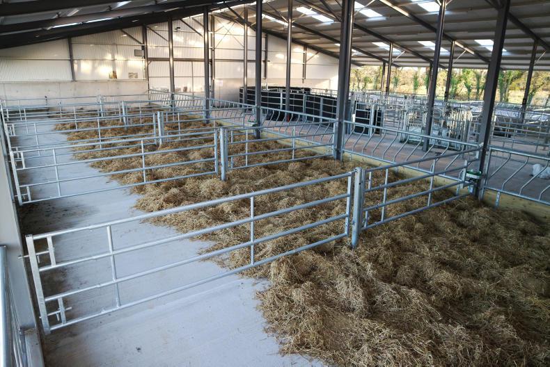 Watch: cattle dealer's impressive facilities - Premium