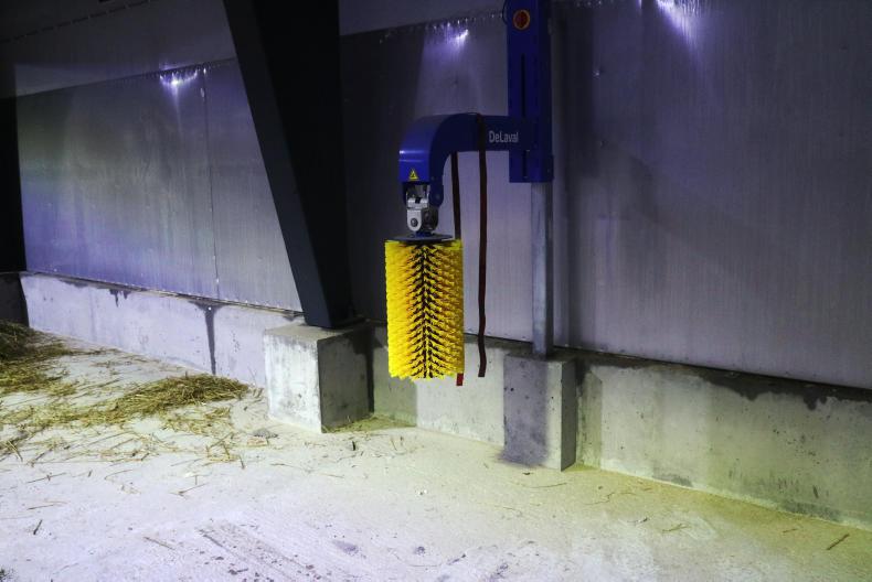 Half a million Norway suckler shed - Premium