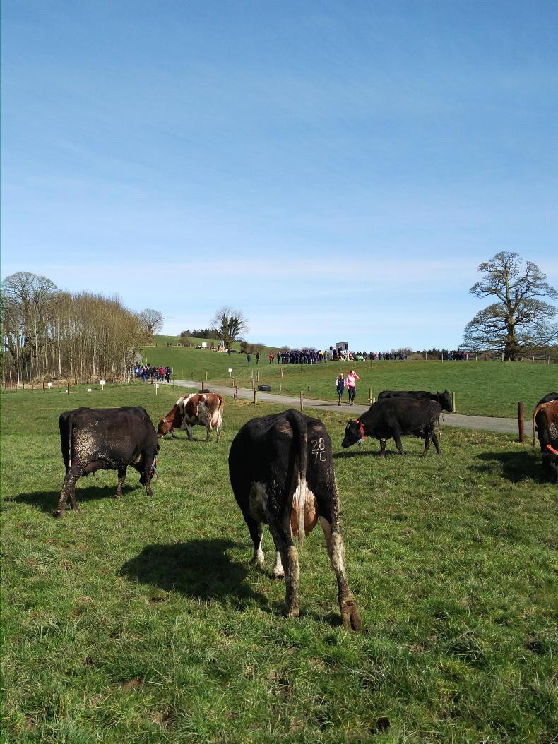 Empty rates at Teagasc Ballyhaise fell to 9% in 2017 - Premium