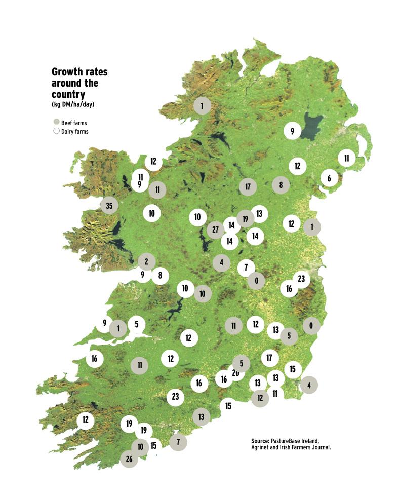 Setting up for growth and replenishing stocks - Premium
