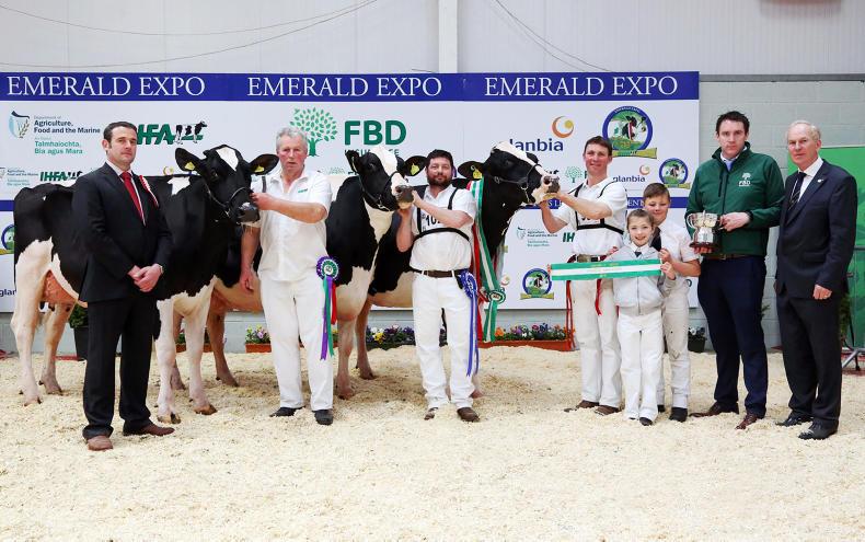 Hallow Holsteins sweep the board at Emerald Expo - Premium