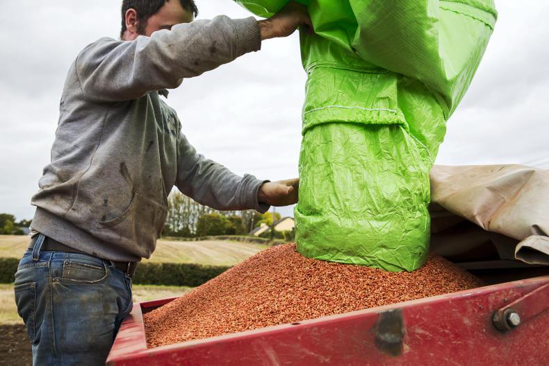 10 tips for sowing crops in soft ground - Premium