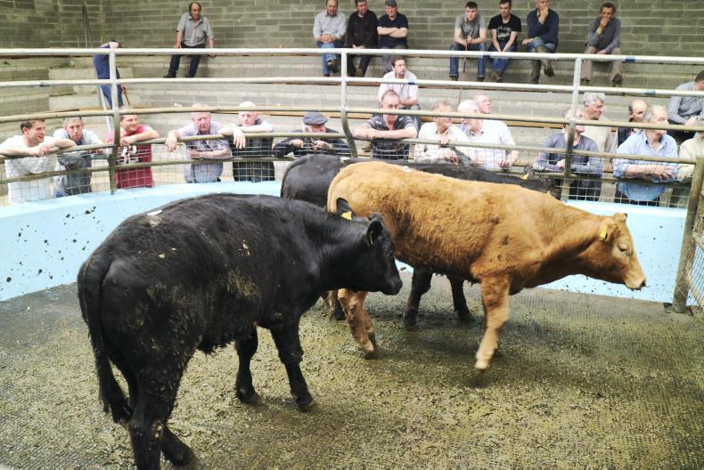 In pictures: positive trade in Roscrea mart - Premium
