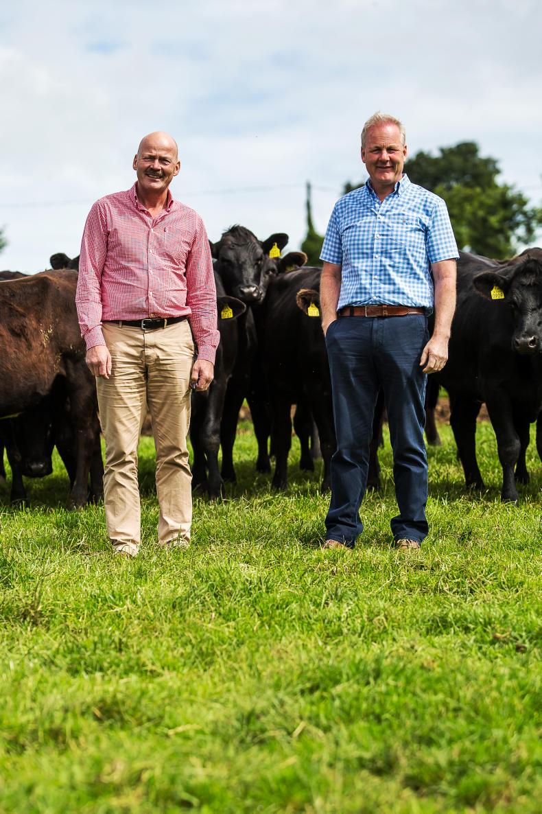 Irish Farmers Journal – For the Latest Farming News in Ireland