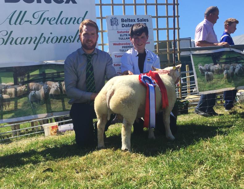 Pedigree: Beltex all-Ireland heads to Offaly - Premium