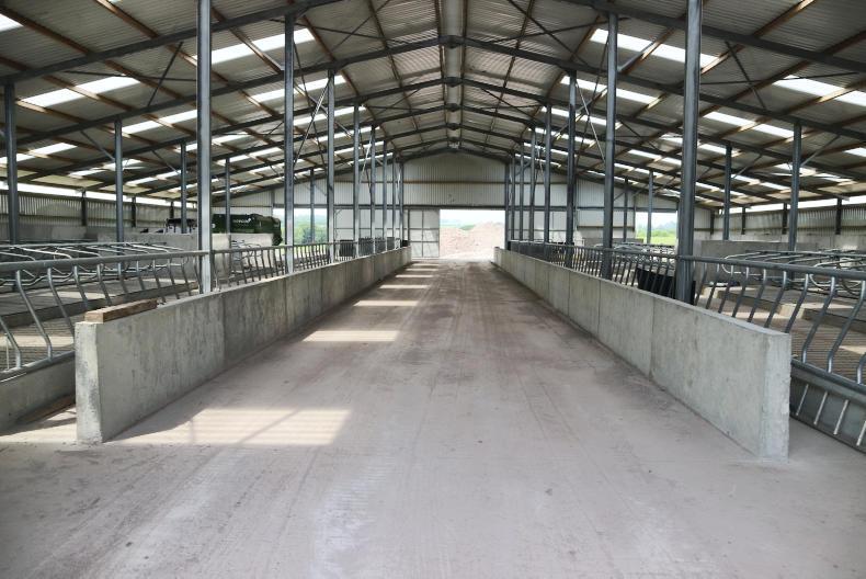 Tidy cubicle shed completed for 150 cows in Cork - Premium