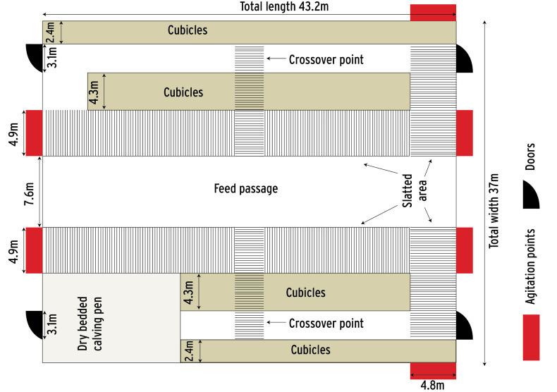 Tidy cubicle shed completed for 150 cows in Cork - Premium