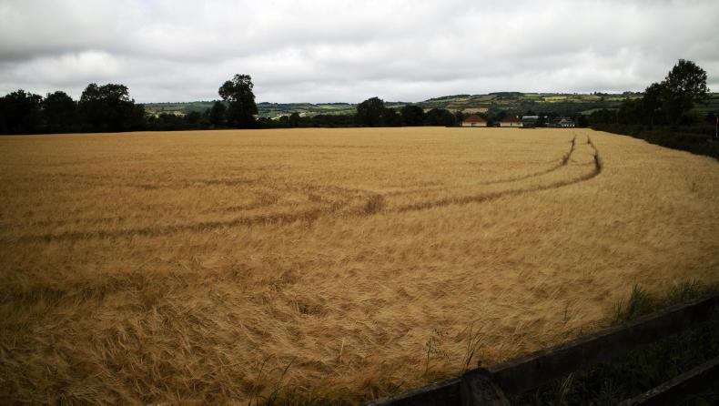 Substantial tillage farm turning heads in Carlow - Premium
