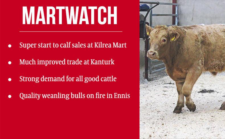 Inside this week's Irish Farmers Journal - Free