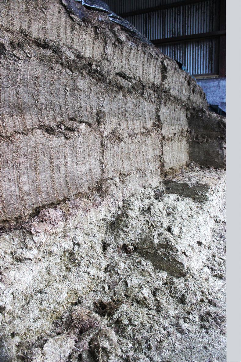 Beef top tips: what to look for in silage samples - Premium