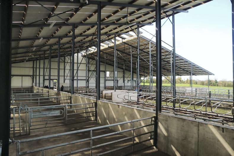 Watch: staggered expansion for a greenfield dairy farm - Premium