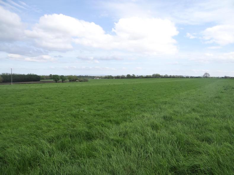 In pictures: some of the most impressive farms sold by month - Premium