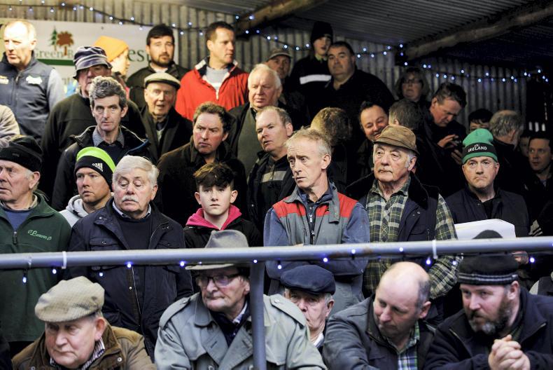 This week in photos: lambing begins - Premium