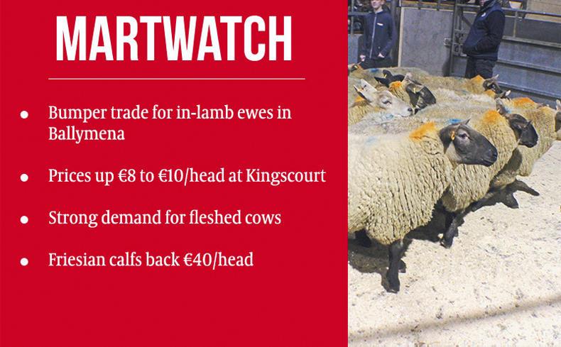 Inside this week's Irish Farmers Journal - Free
