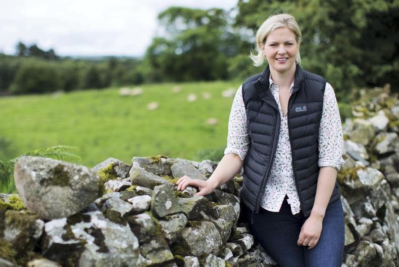 Irish organic land area up 40% but still lags behind EU - Premium