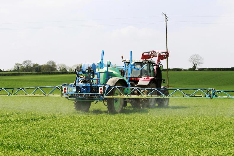 Rate changes set for key resistant corn marigold herbicide - Premium