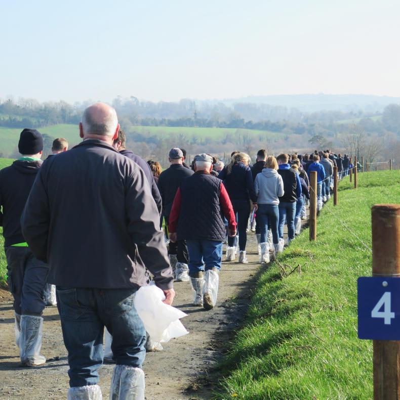 Focusing on grass utilisation in Monaghan - Premium