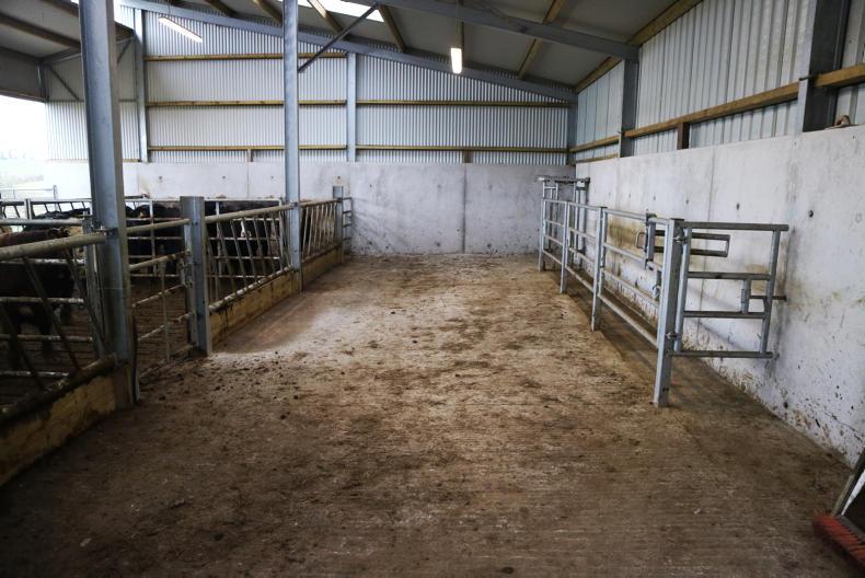 Watch: €18,000 net cost for tidy three-bay beef shed - Premium