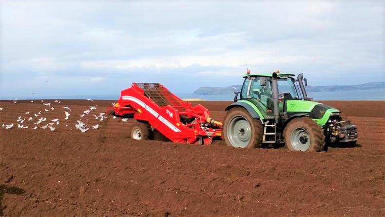 Watch: preparing ground for potatoes on the Antrim coast - Premium
