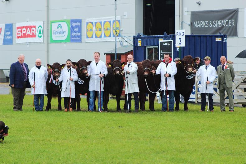In pictures: final day of cattle competitions at Balmoral - Premium