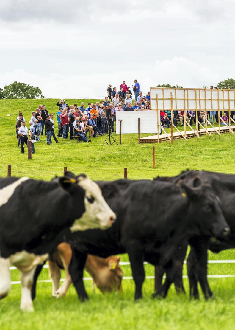 Top takeaway points from Tullamore Farm - Premium