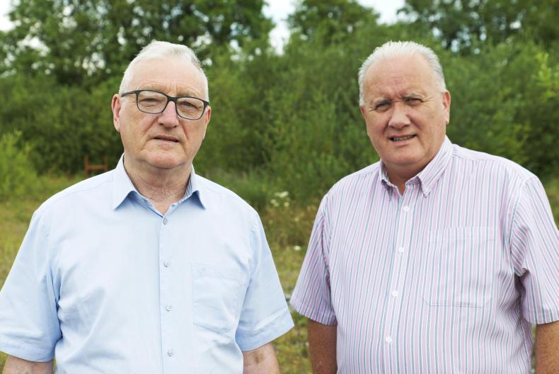 Help is at hand - Premium