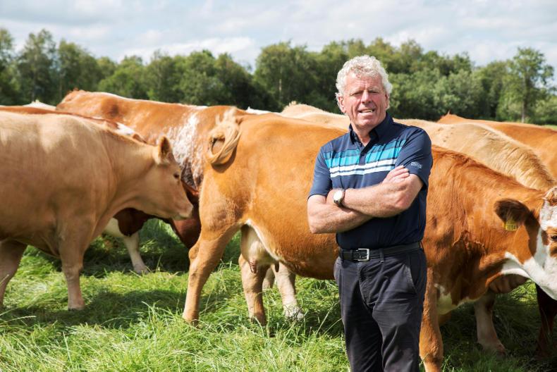 My farming week: Willie Allen, Boston, Moate, Co Westmeath - Premium