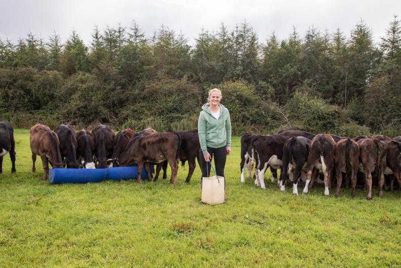 My Farming Week: Edwina Keane, Muckalee, Co Kilkenny - Free