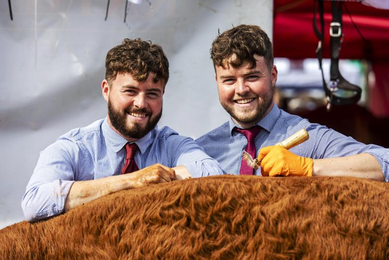 Around the country in pictures this week - Free