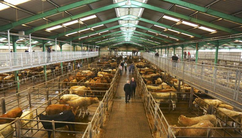 This week in photos: Donegal tractor run, harvesting and Ennis Mart ...