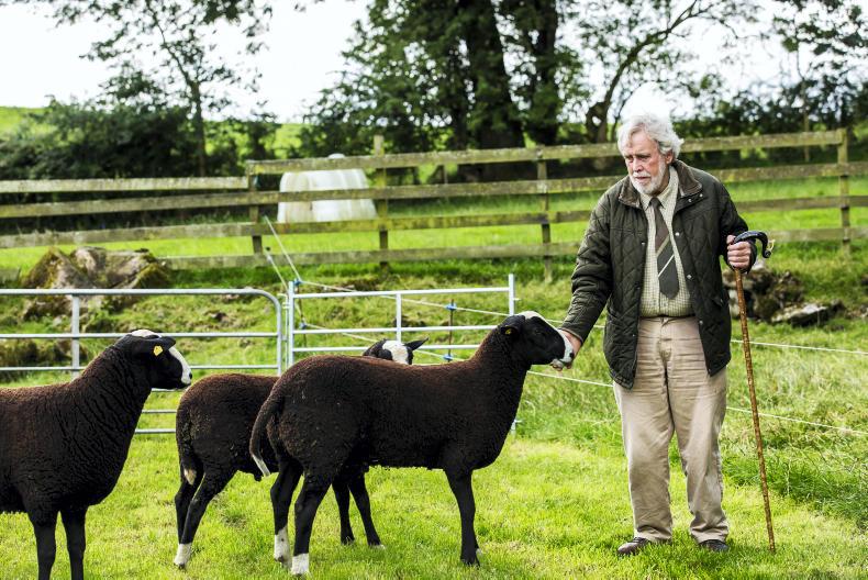 This week in photos: Donegal tractor run, harvesting and Ennis Mart ...